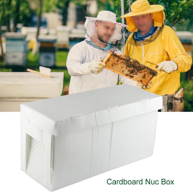 Plastic Cardboard Nuc Box - BeePlaza-beekeeping Shop