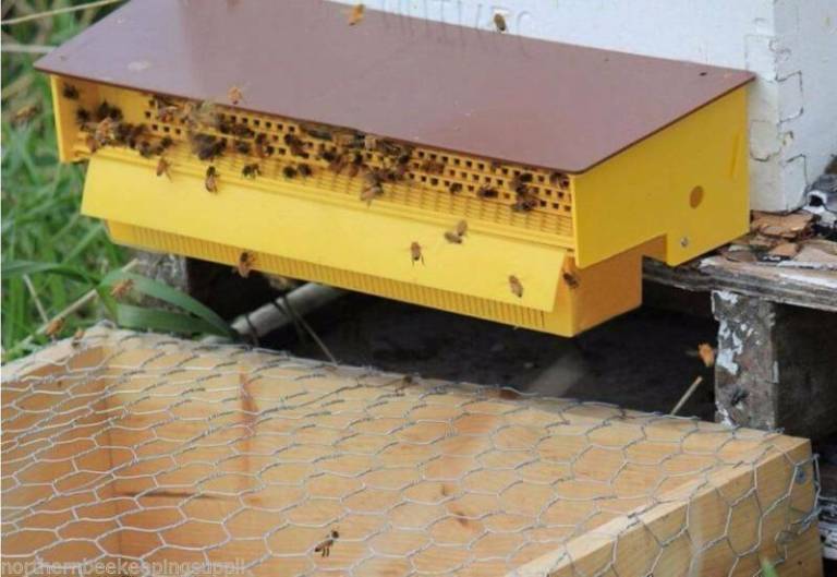 NEW BEE POLLEN TRAP COLLECTOR FOR BEEHIVE BEE HIVE - BeePlaza ...