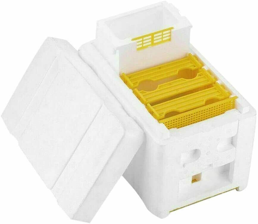 Portable Bee Mating Nuc Hive Harvest Pollination Beekeeping BeeHive Box ...